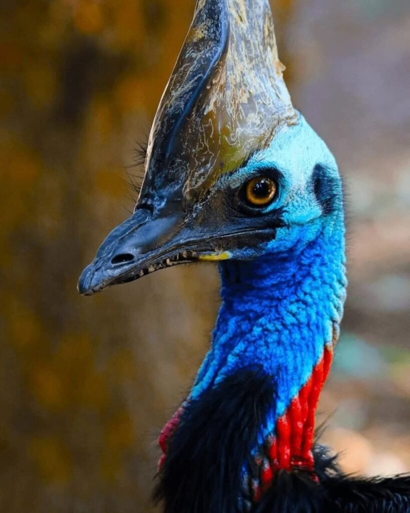 Zoo das Aves é uma das atrações nas férias de julho - Notícias de Poços ...